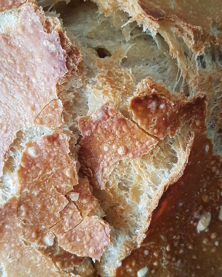 Lemon Cheong – Coni Olea